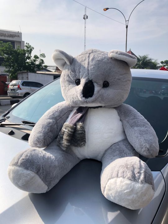 Boneka koala syal jumbo premium original | Lazada Indonesia