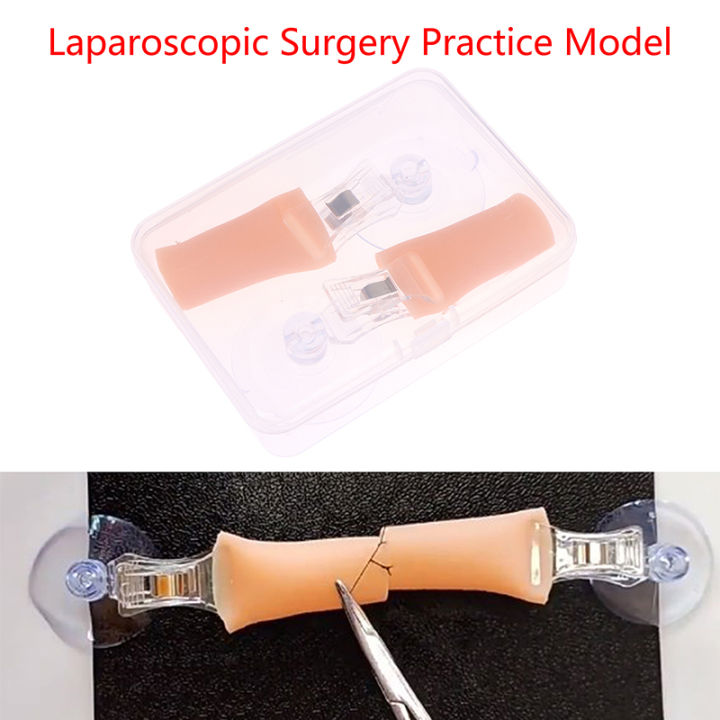 Laparoscopic Surgery Simulation Intestinal Anastomosis Training Modules ...