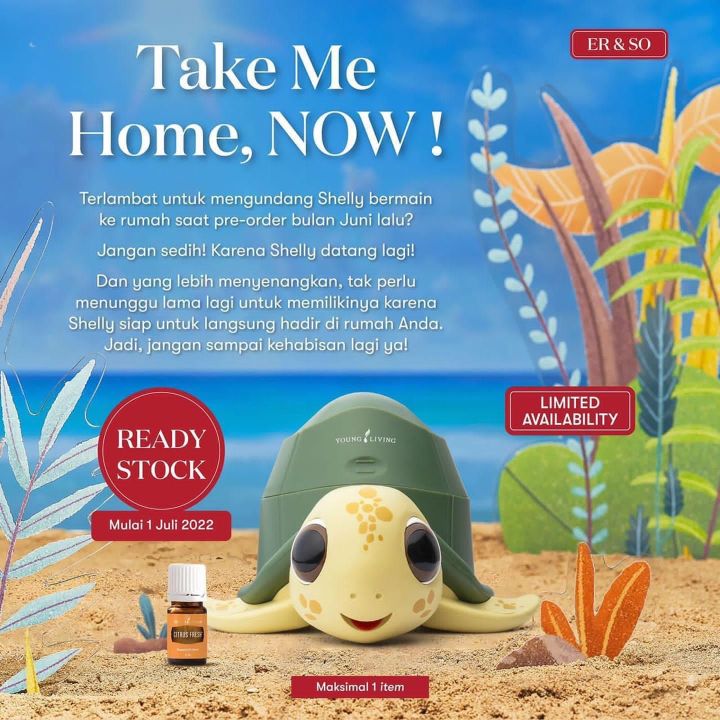 YL shelly the turtle diffuser young living essential oil yleo, diffuser ...