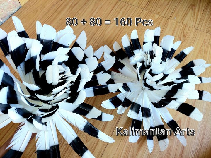 Kirip Cincin Bulu Burung Enggang (Fake) Tari Dayak Kalimantan | Lazada ...