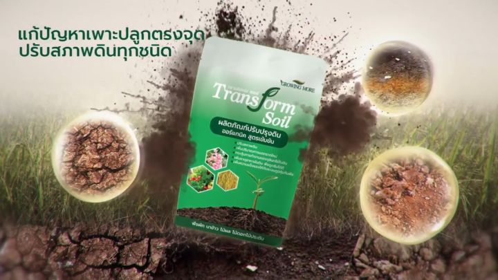(TRANSFORM Soil ทรานส์ฟอร์ม ซอยด์) แก้ทุกปัญหาดิน ผลิตภัณฑ์ปรับปรุงดิน แก้ดินกรด ดินเปรี้ยว ดิน ...