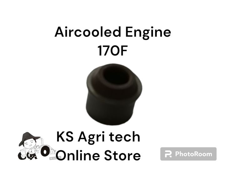 Valve Seal 170F Aircooled Diesel Engine | Lazada PH
