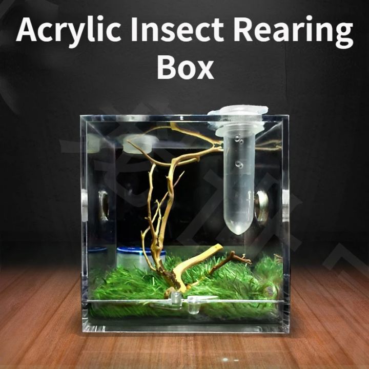 SmallReptilesBreeding Box Clear Acrylic Cage Habitat Insect Feeding Box ...