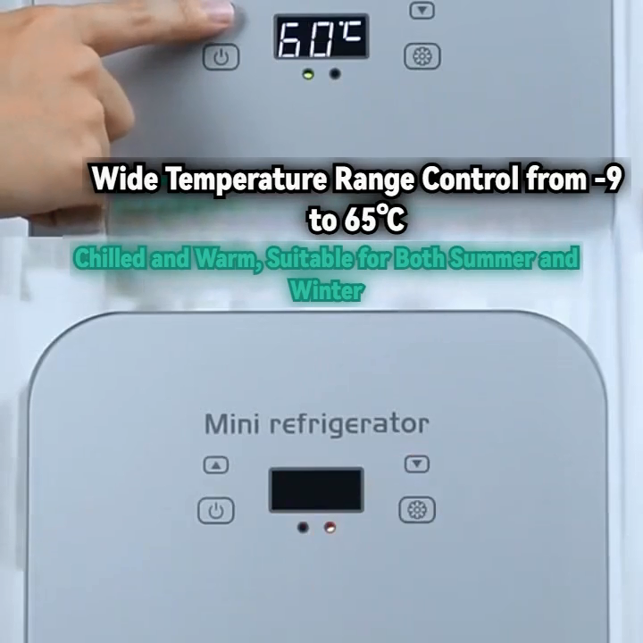 20L Mini Fridge Portable - Dual Temperature Control Cooler Warmer, AC ...