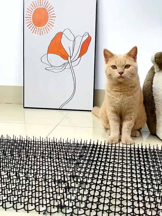 Animal Repel Mat Spike Anti Climb Fence Wall Cat Dog Pet Control Carpet ...