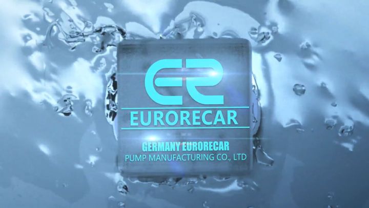EURORECAR 220V/60Hz Submersible Pump 2.5" Stainless Steel Deep Well ...