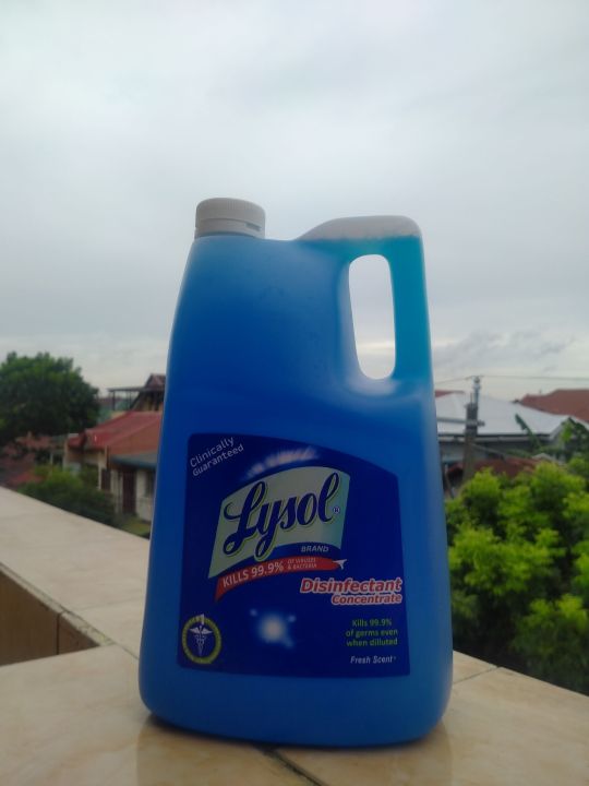 LYSOL CONCENTRATED ONE GALLON (FRESH SCENT) | Lazada PH