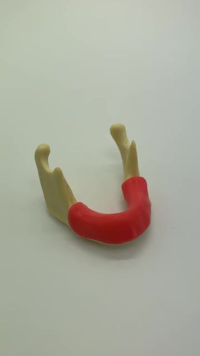 Dental Implant practise Teeth model Mandible Jaw With Soft Tissue with ...