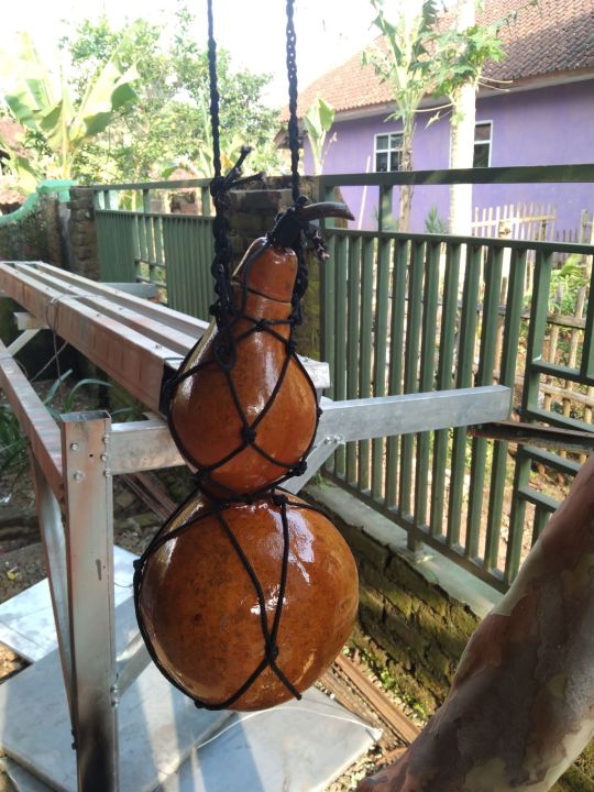 botol air minum / labu botol kering / labu kendi | Lazada Indonesia