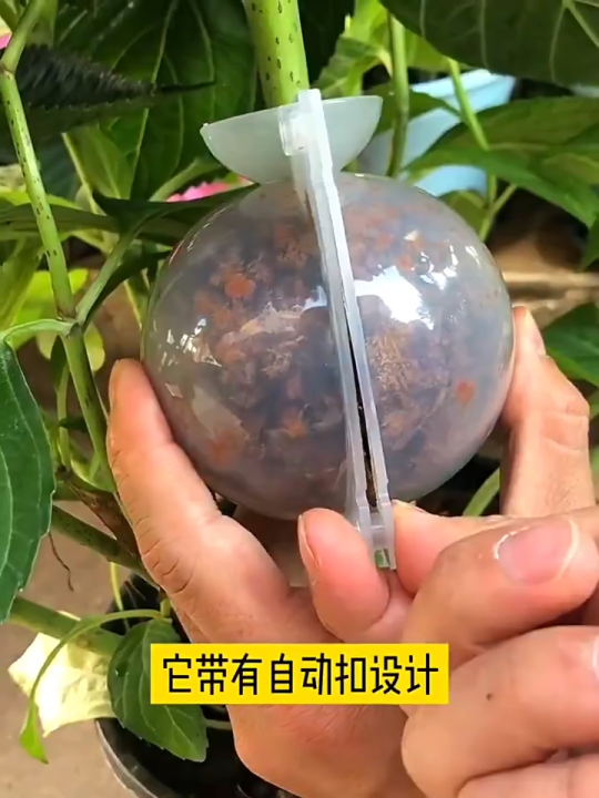 10pcs Plant Rooting Ball Grafting Ball High Pressure Propagation Root ...