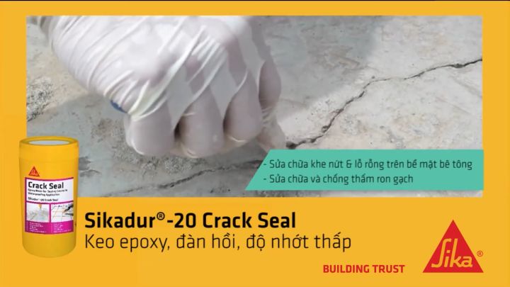 Sika - Keo epoxy trám khe Sikadur ® - 20 Crack Seal (bộ 160 ml) | Lazada.vn