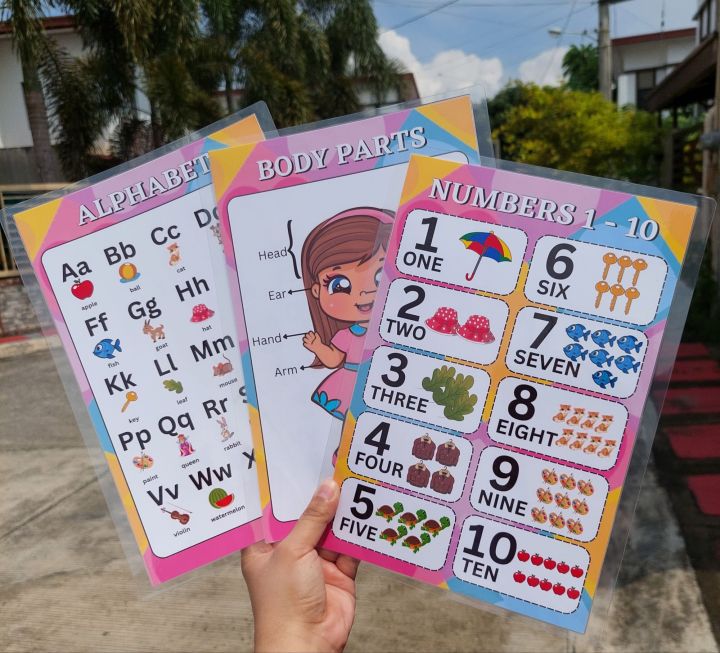 LAMINATED EDUCATIONAL CHART | Lazada PH