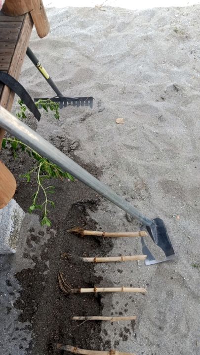 Garden Hoe Asarol 4 ft. Heavy Duty | Lazada PH