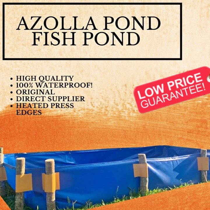 (L:4ft x W:2ft x H:1ft) AZOLLA POND FISH POND DIY SWIMMING POOL ...