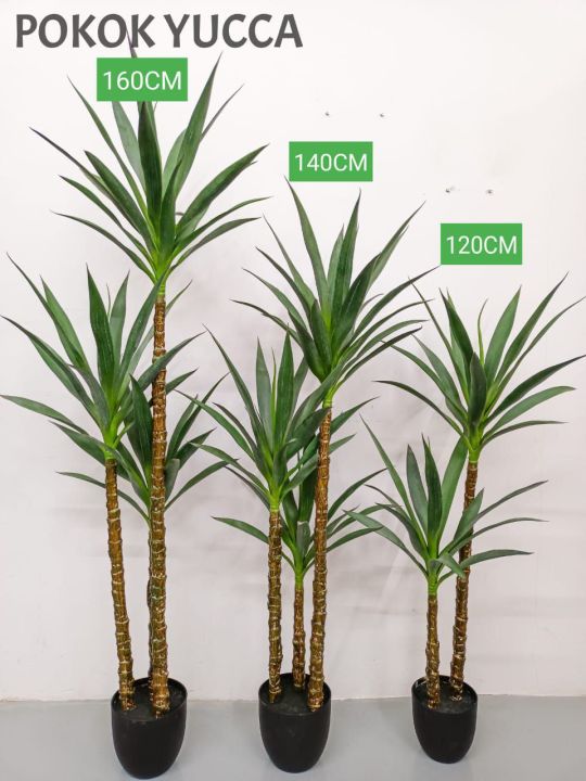 PREMIUM YUCCA ARTIFICIAL HOME DECOR PLANT/ POKOK HIASAN PREMIUM YUCCA ...