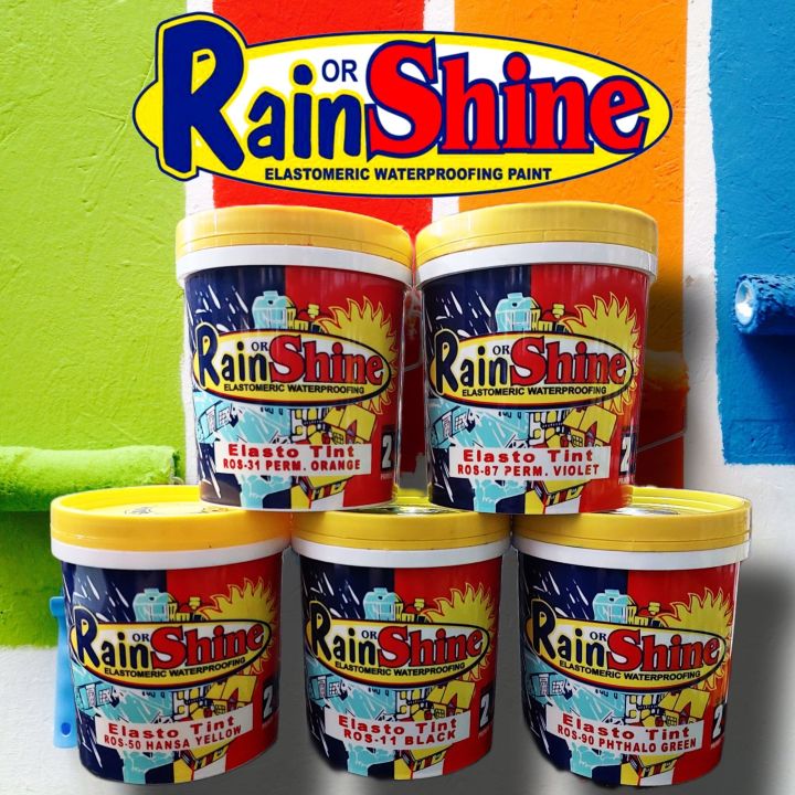 RAIN or SHINE Elasto-tint Elastomeric Tinting Colors | Lazada PH