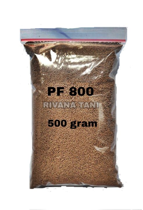 PELET IKAN PF 800 PAKAN IKAN PF800 Makanan ikan kecil Lele Nila gurame ...