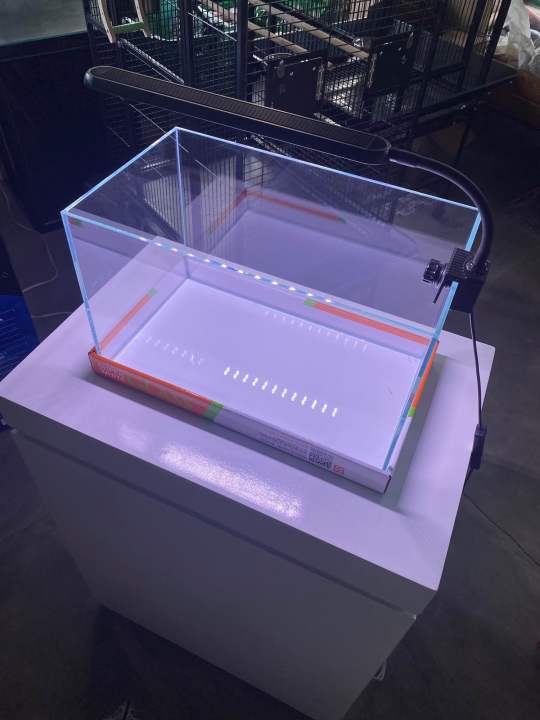 LOW IRON TANK AQUARIUM 35cm Good for Aquascape | Lazada PH