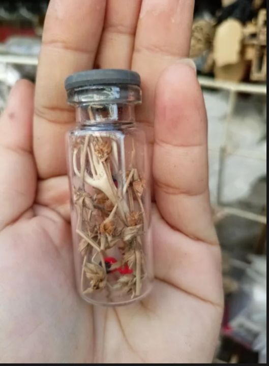 pinagsamang bulaklak Ng kawayan at tagupaypay pang akit Ng swerte sa ... pinagsamang bulaklak Ng kawayan at tagupaypay pang akit Ng swerte sa ...