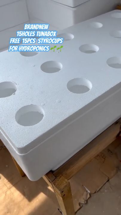 (8/14/15/18/21/NO HOLES) TUNA BOX - WITH STYRO CUPS (WITH SLIT) - BRAND ...