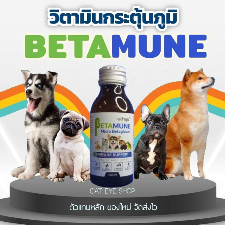 เบต้ามูน 100 ml. Betamune วิตามินกระตุ้นภูมิ สำหรับสัตว์เลี้ยง ผลิตจาก ...