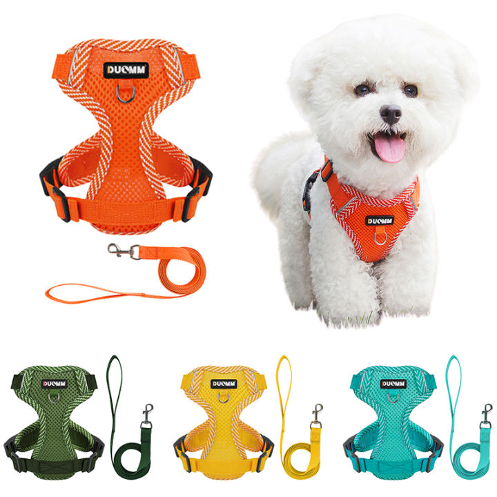 Sentexin Dog Harness and Leash Set for Small Dogs Chihuahua Puppy ...