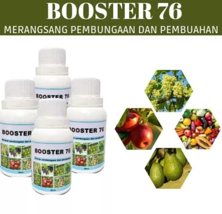 PUPUK BOOSTER 76 ORGANIK original - Mengoptimalkan bunga dan buah(isi ...
