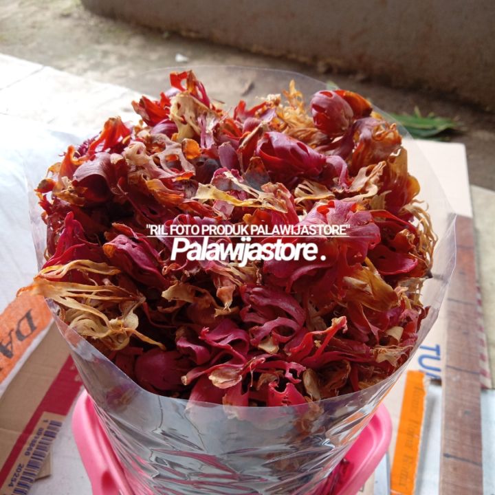 bunga pala kering 1 kg | Lazada Indonesia