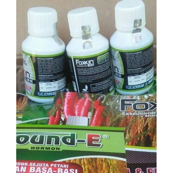 Fungisida dan Bakterisida Foxxin 100ml | Lazada Indonesia