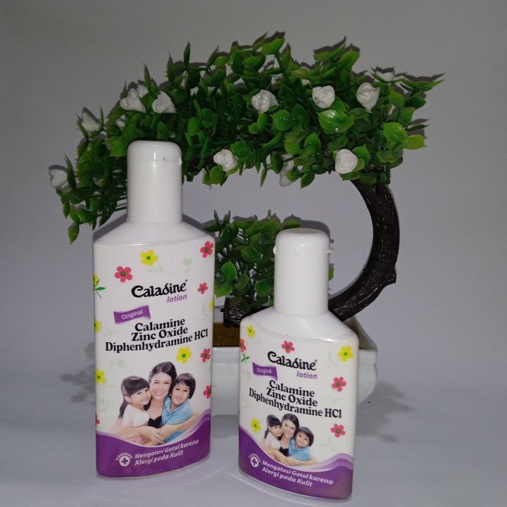 Caladine Lotion Original 60 ml dan 95 ml | Lazada Indonesia