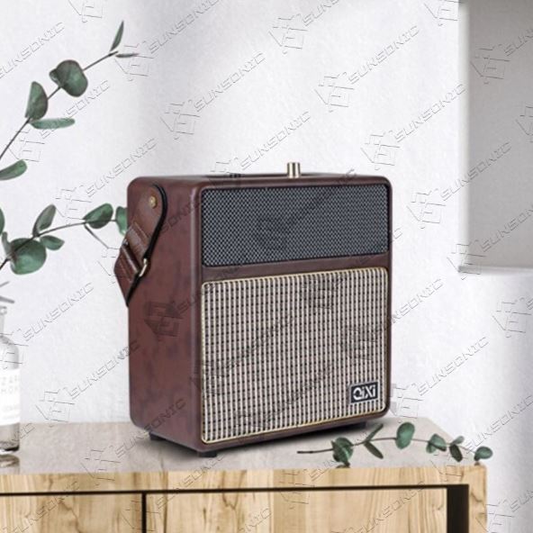 QIXI SK-2027 Cinematic Sound KARAOKE Wireless Bluetooth Speaker support AUX,TF,USB,FM Radio Mode ...