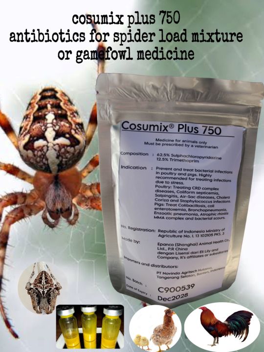 cosumix plus spider load mix or chicken medecine 100grams | Lazada PH