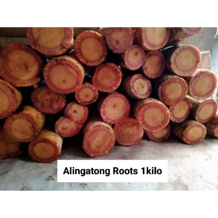 PURE RED ALINGATONG ROOTS 1kilo | Lazada PH