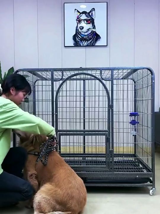 Petorldog Pet Cage Large Space Durable Square Tube Dog Cage With Wheels ...