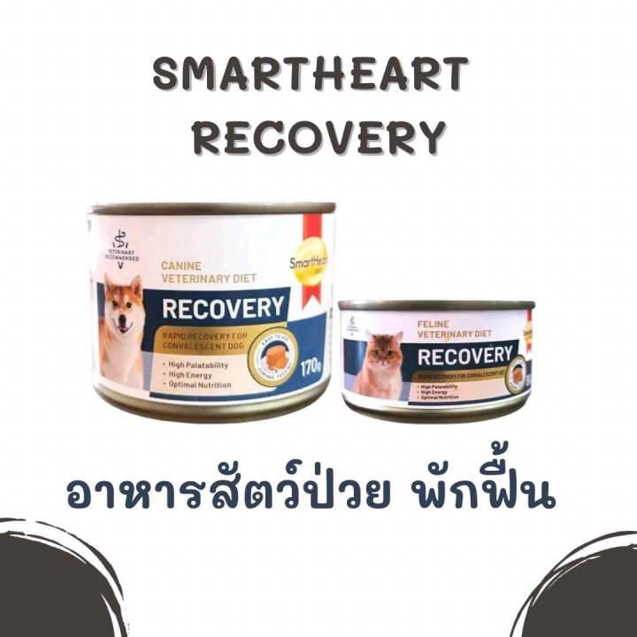 Smartheart Gold Recovery อาหารเปียก สำหรับ สัตว์ป่วย พักฟื้น หลังผ่าตัด ...