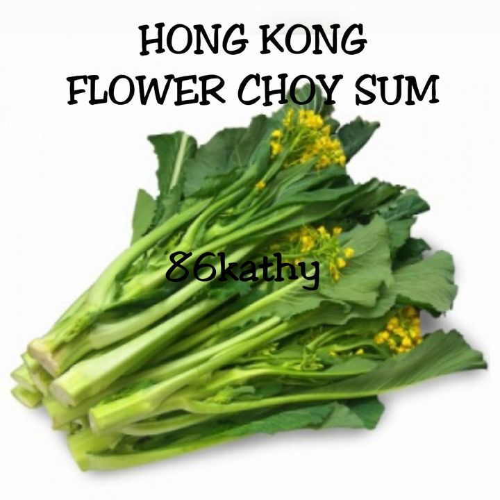 (Seed) Hong Kong Flower Choy Sum / Biji Benih Sawi Bunga Hong Kong | Lazada