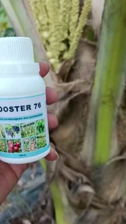 BOOSTER 76 kemasan 500ml pupuk organik penyubur pelebat dan pembesar ...