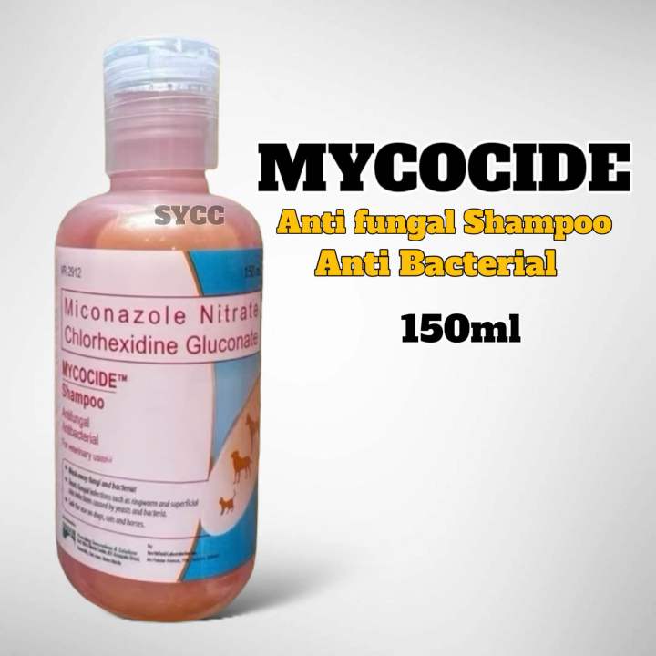 Mycocide Anti fungal Shampoo 150ml | Lazada PH
