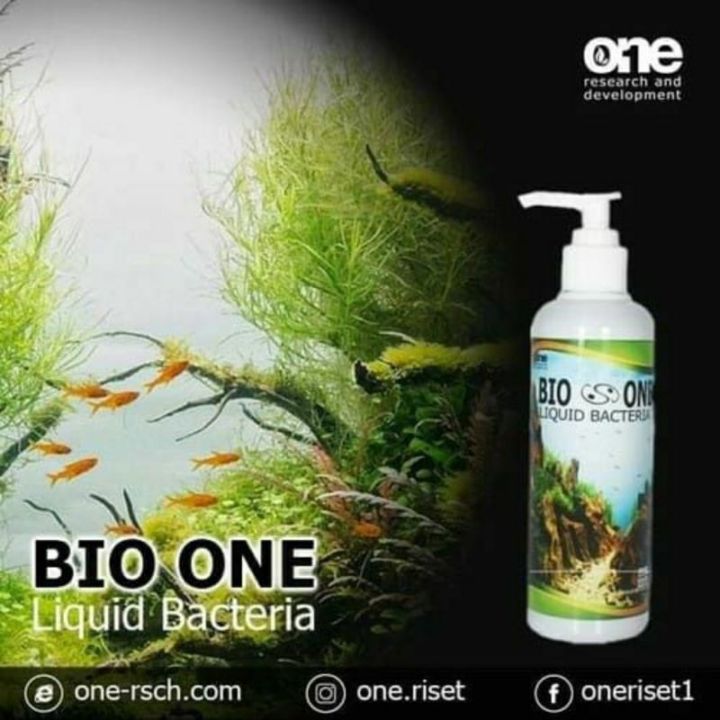 Bacteri stater Bio One 250 ml liquid bacteria aquarium aquascape | Lazada Indonesia