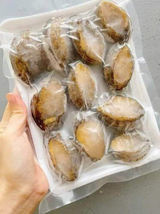 Fresh frozen Abalone in shell 500g-Bào ngư tươi đông lạnh nguyên vỏ ...