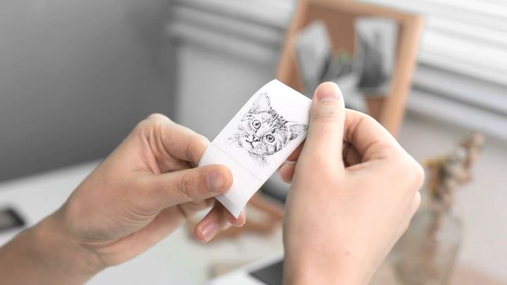 Phomemo Color Label Sticker For M110/M120/M220/M200/M221 Printer ...