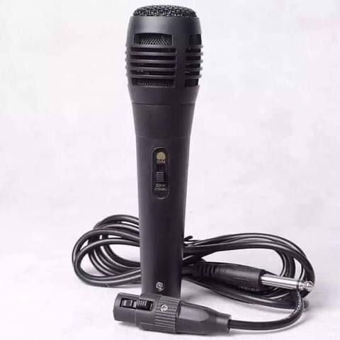 Microphone | Lazada PH