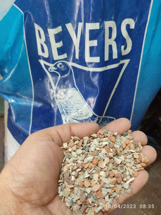 GRIT EXTRA (500g) BEYERS Essential for optional digestion and ...