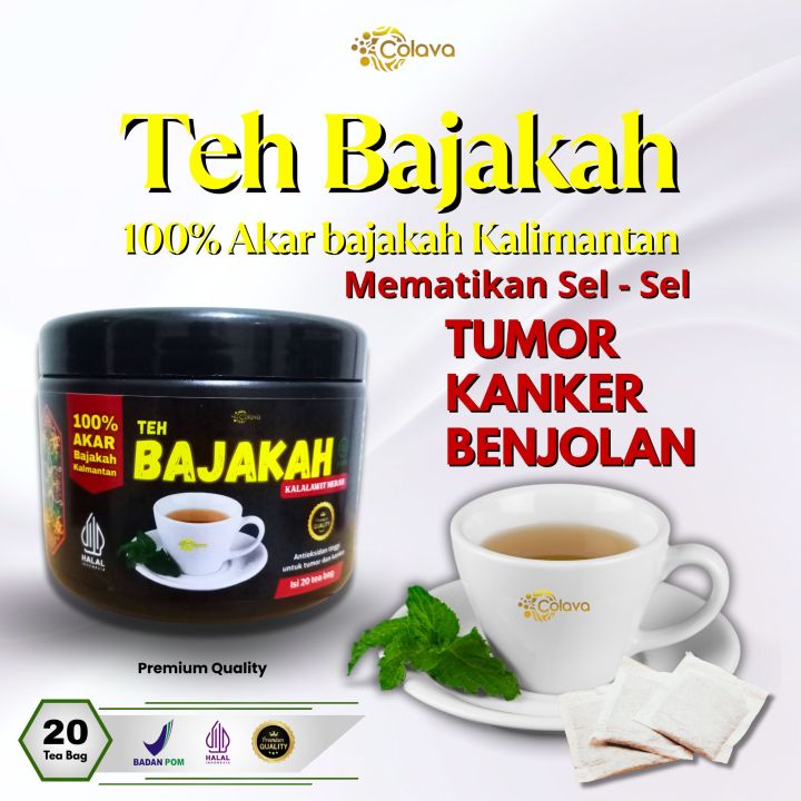 Colava Teh Bajakah membantu menghambat pertumbuhan sel kanker | Lazada ...