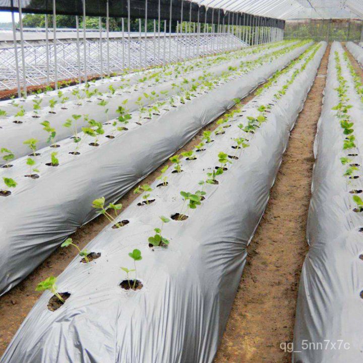 (1.2mx5m)Plastic Mulch Film Black/Silver, agriculture film vegetable ...