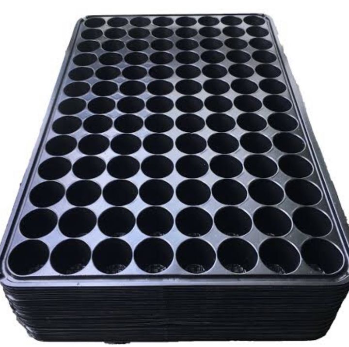 Seedling tray ( 128 holes ) 6pcs | Lazada PH