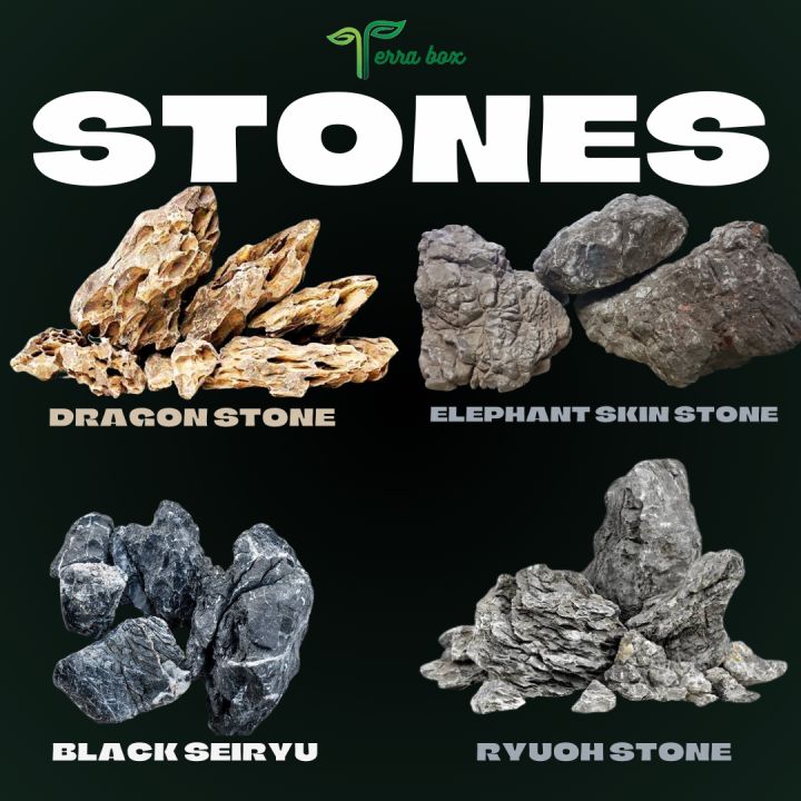 DRAGON STONE, RYUOH STONE AND BLACK SEIRYU STONE PINK TEA ROSE FOR ...