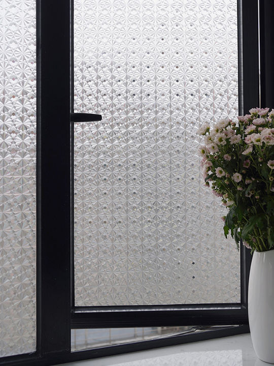 Privacy Glass Stickers Transparent Opacity Bathroom Window Decals Light ...
