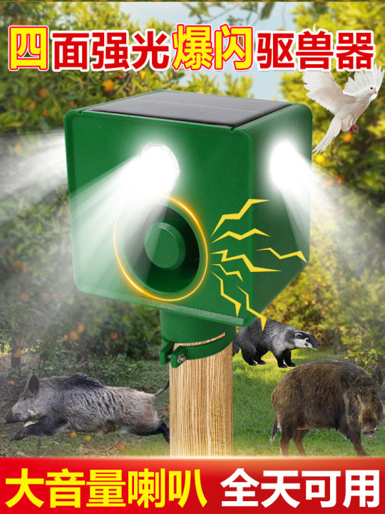 Wild Boar Repeller Wolf Scream Alarm Bird Deterrent New 2025 Model Dog ...