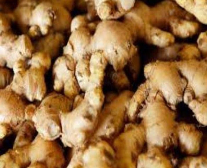 Luya / Ginger Organic backyard farming | Lazada PH